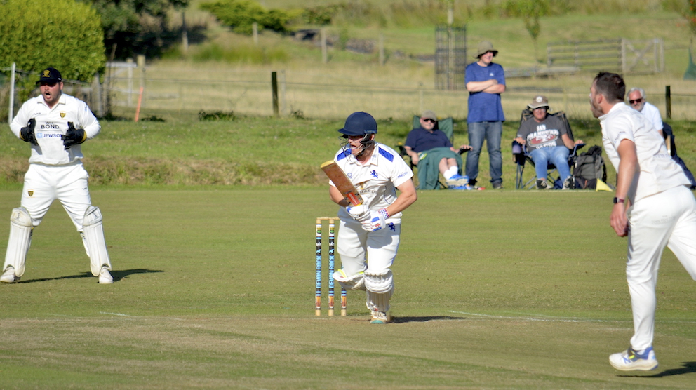 Devon County Cricket Club News - Devon Cricket